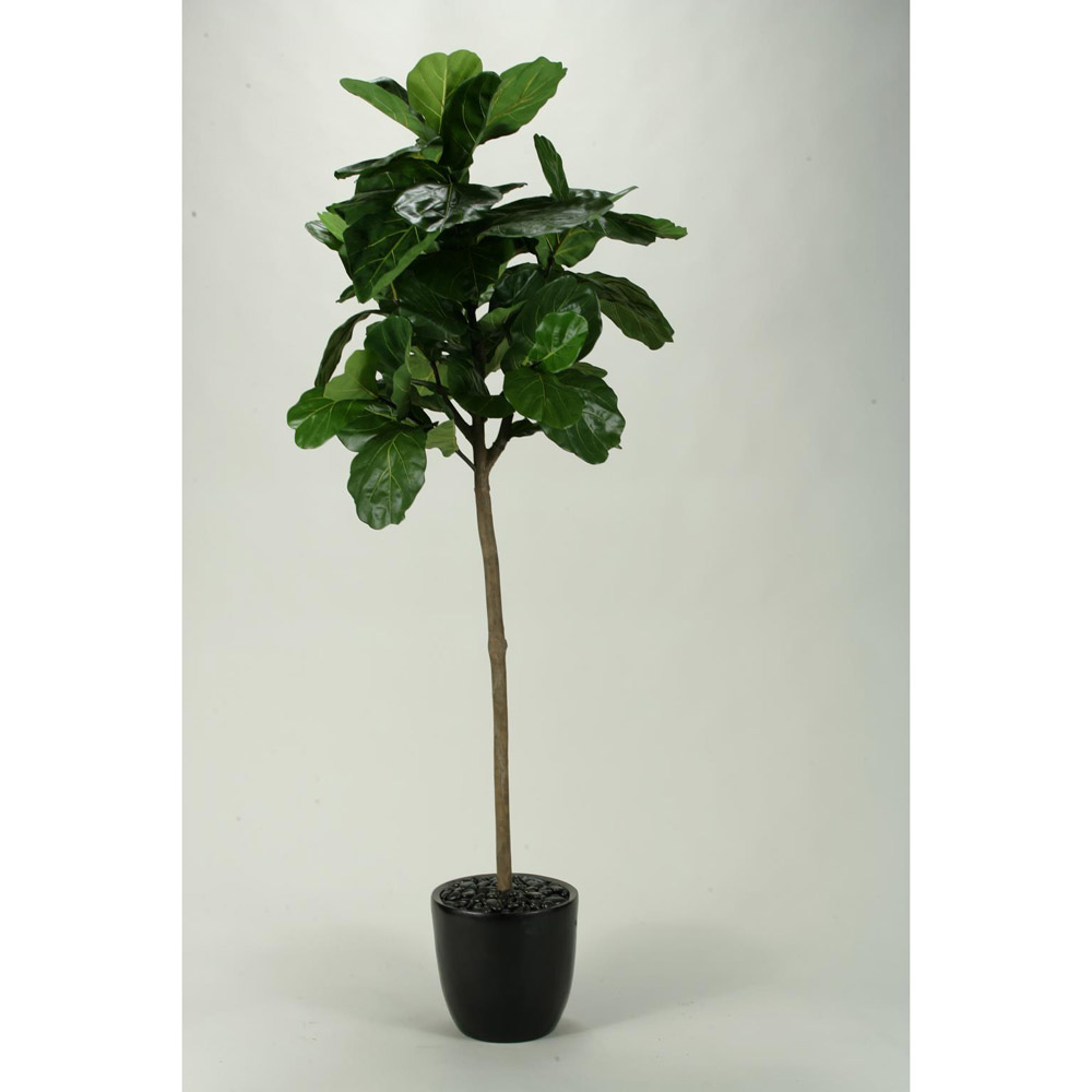 Fiddle Leaf Fig Tree - Black Round Planter - Tall | Zuri Furniture