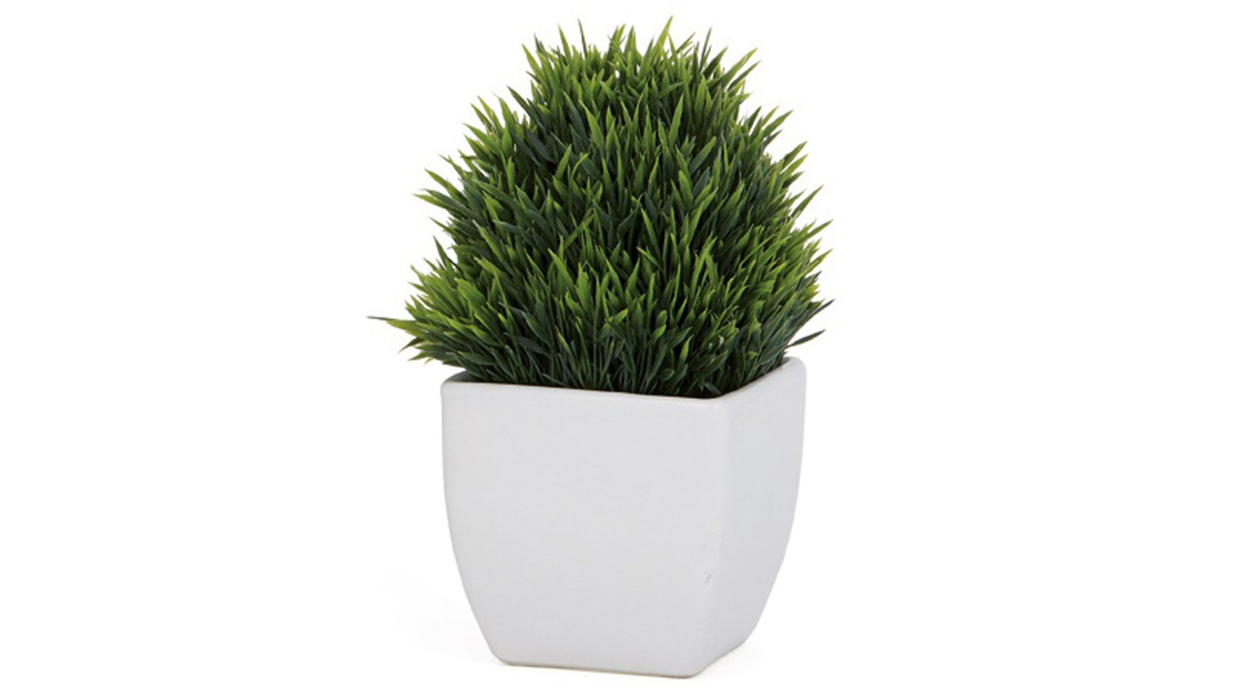 Tapered Ceramic Potted Grass - Small